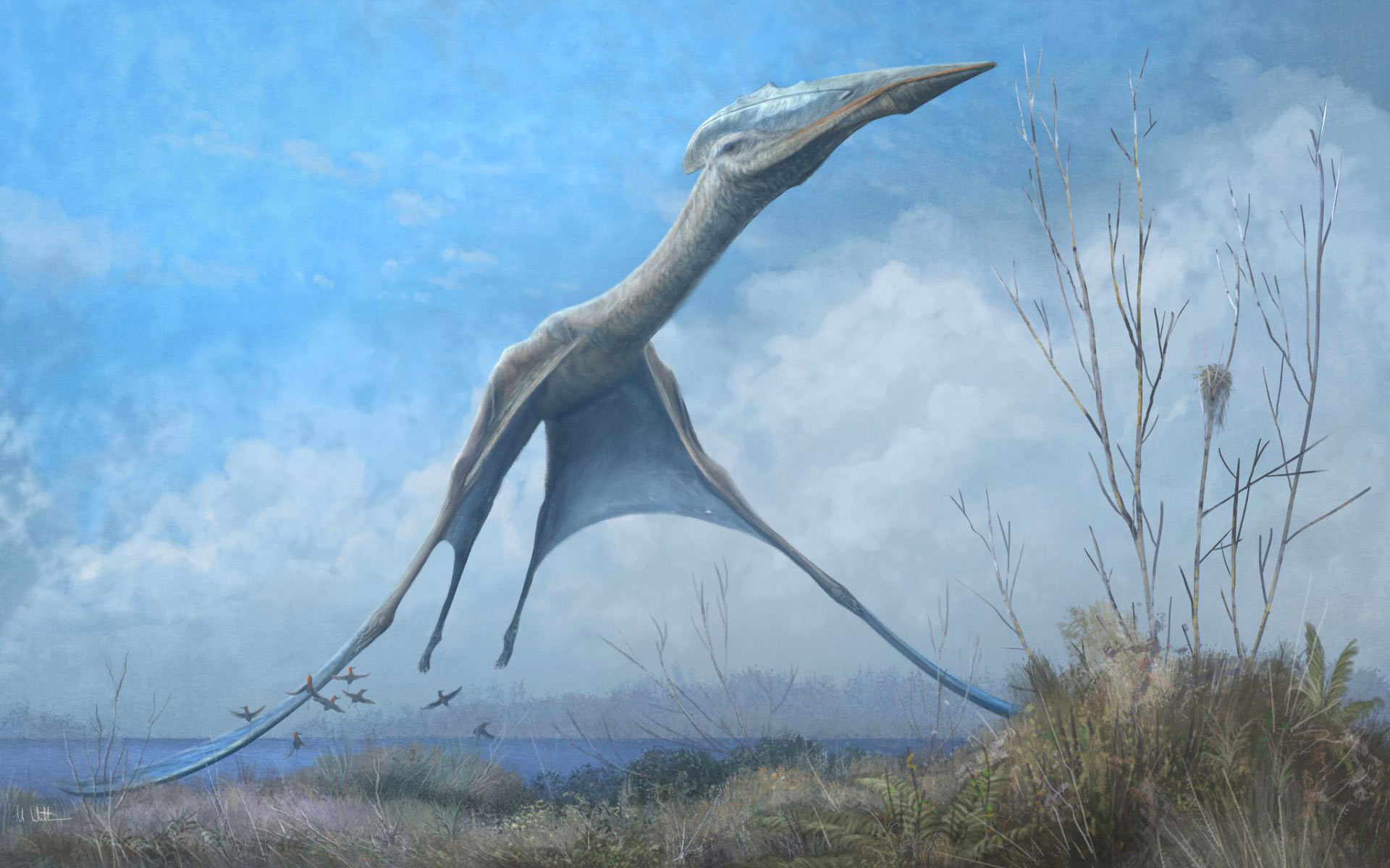 Pterosaur corner – Earth-logs