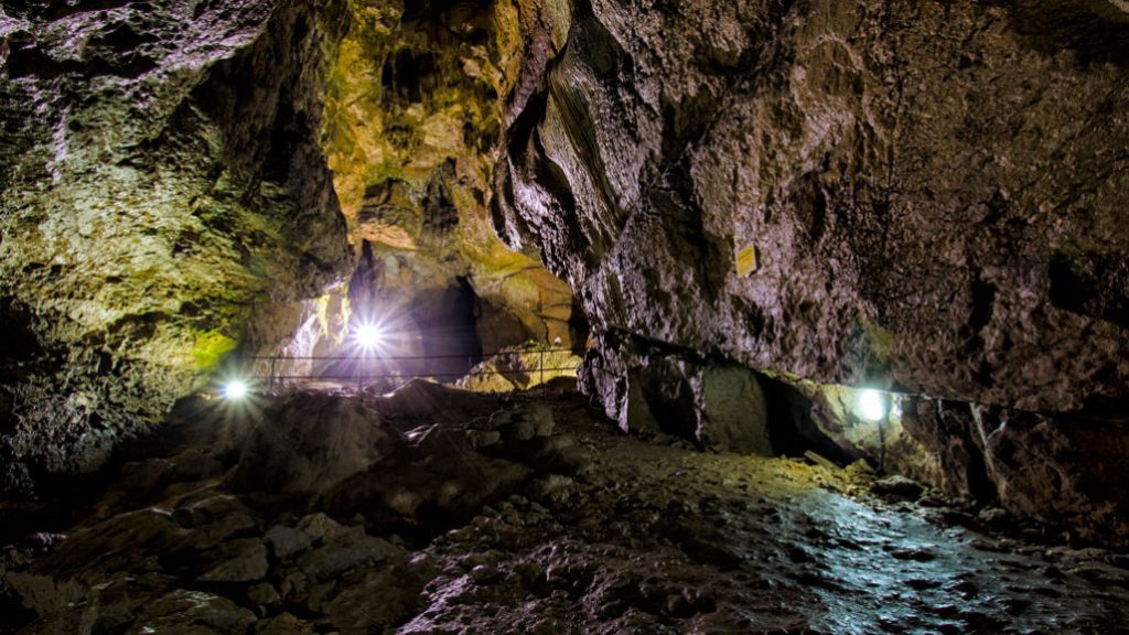 More time for modern humans to have mingled with Neanderthals – Earth-logs