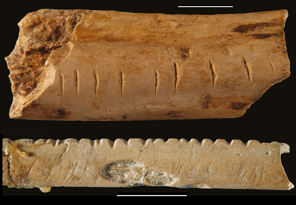 The early signs of counting and arithmetic? – Earth-logs