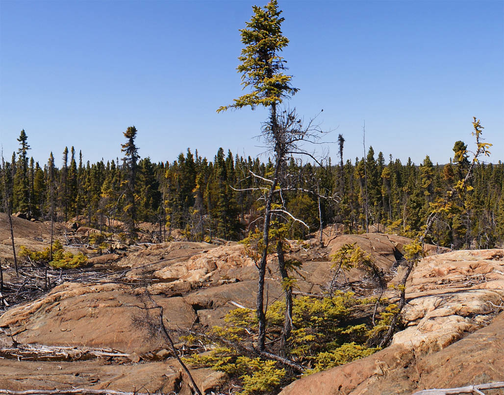 The Mid-Pleistocene Transition: when glacial cycles changed to 100 ka ...