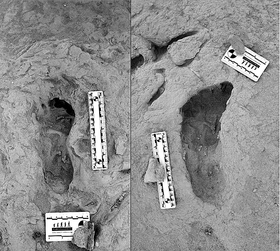 Hominin footprints in Kenya confirm two species occupied the same ...