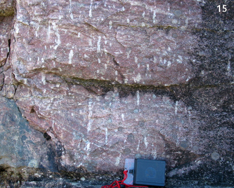 A ‘worm’ revolution and ecological transition before the Cambrian ...